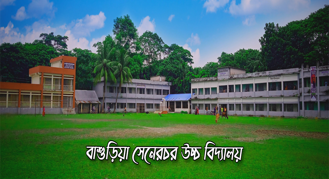 BASURIA SENERCHAR HIGH SCHOOL - আলো